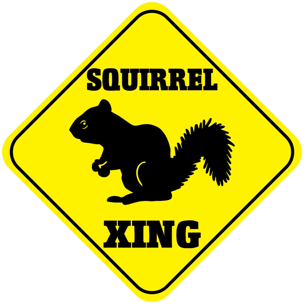 Squirrel Crossing Funny Metal Aluminum Novelty Sign | eBay